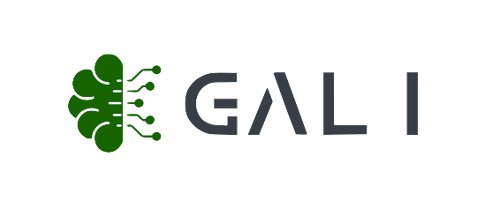 Gali - Custom AI chatbot